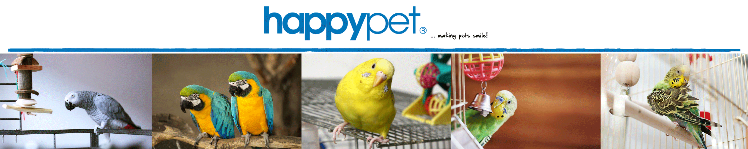 Amazon.co.uk: Happy Pet: Bird