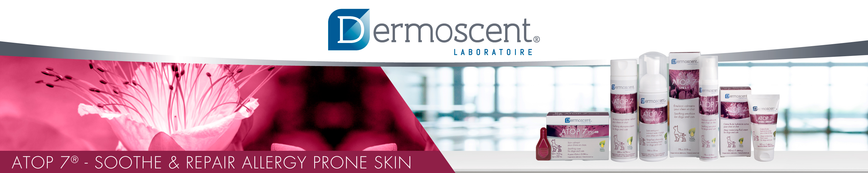 Amazon.co.uk: Dermoscent: ATOP 7