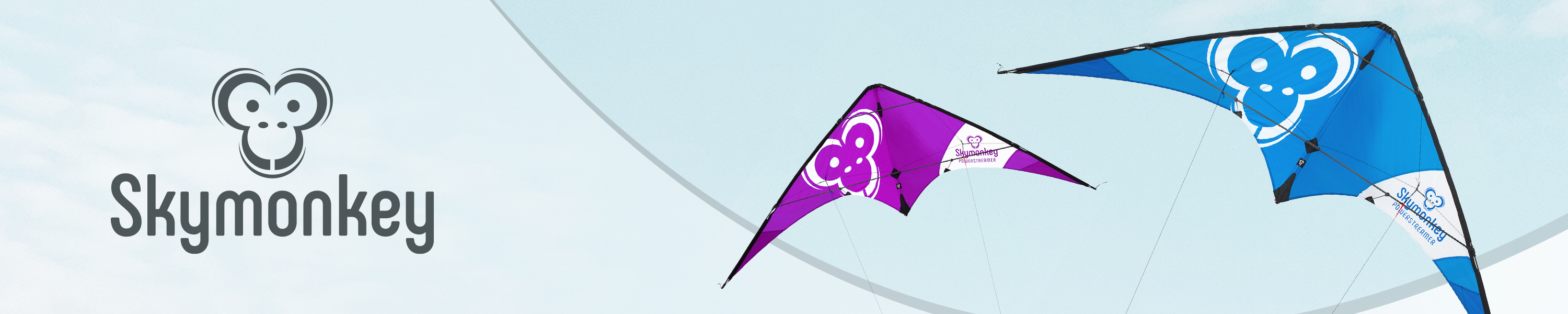 Amazon.co.uk: Skymonkey: Stunt kites