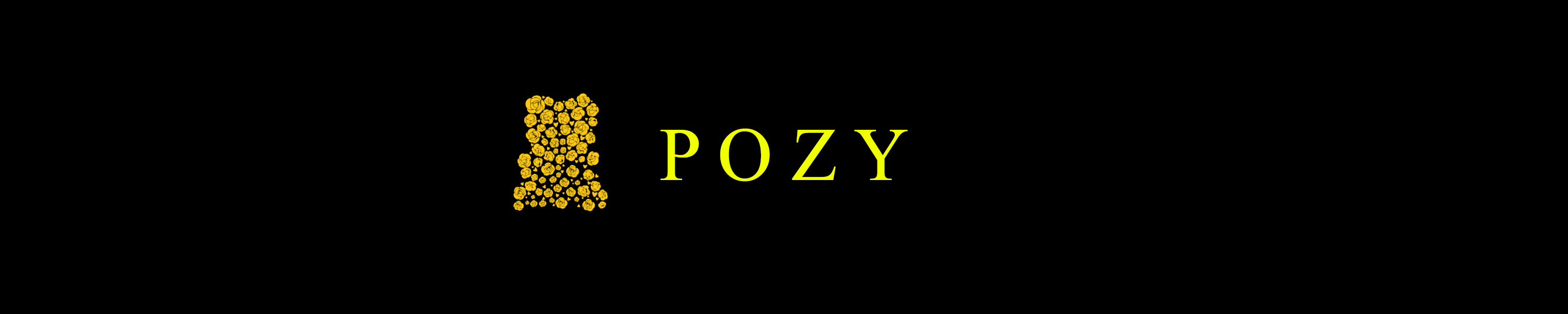 Amazon.de: POZY