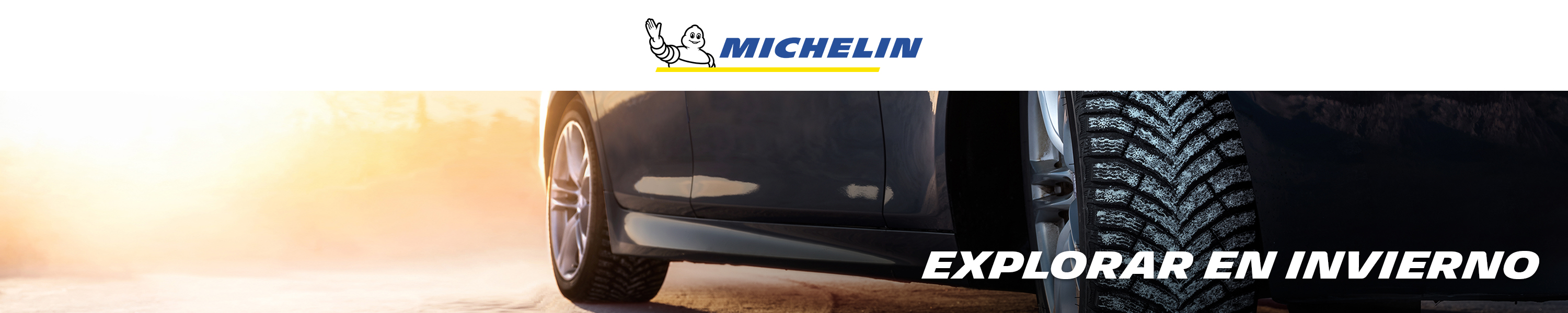 Amazon.es: Michelin: Neumáticos de invierno