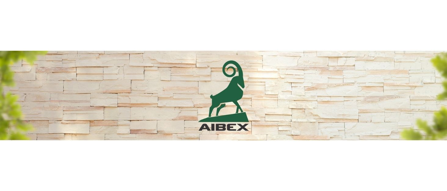 Amazon.in: AIBEX: OnePlus