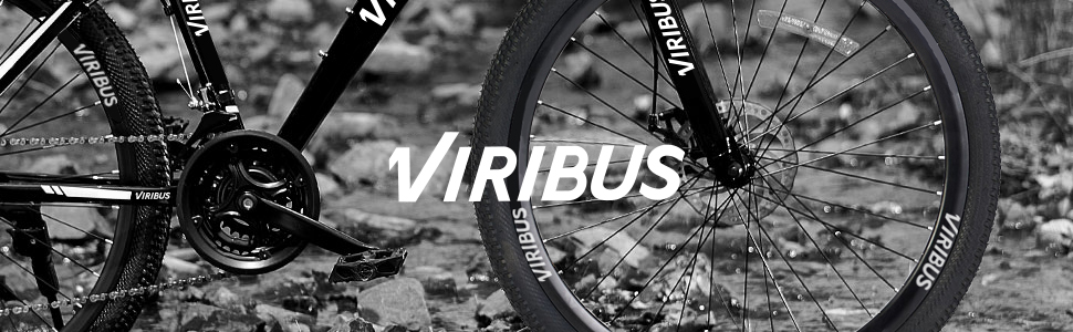 Amazon.co.uk: Bike for life: Comfort Bike