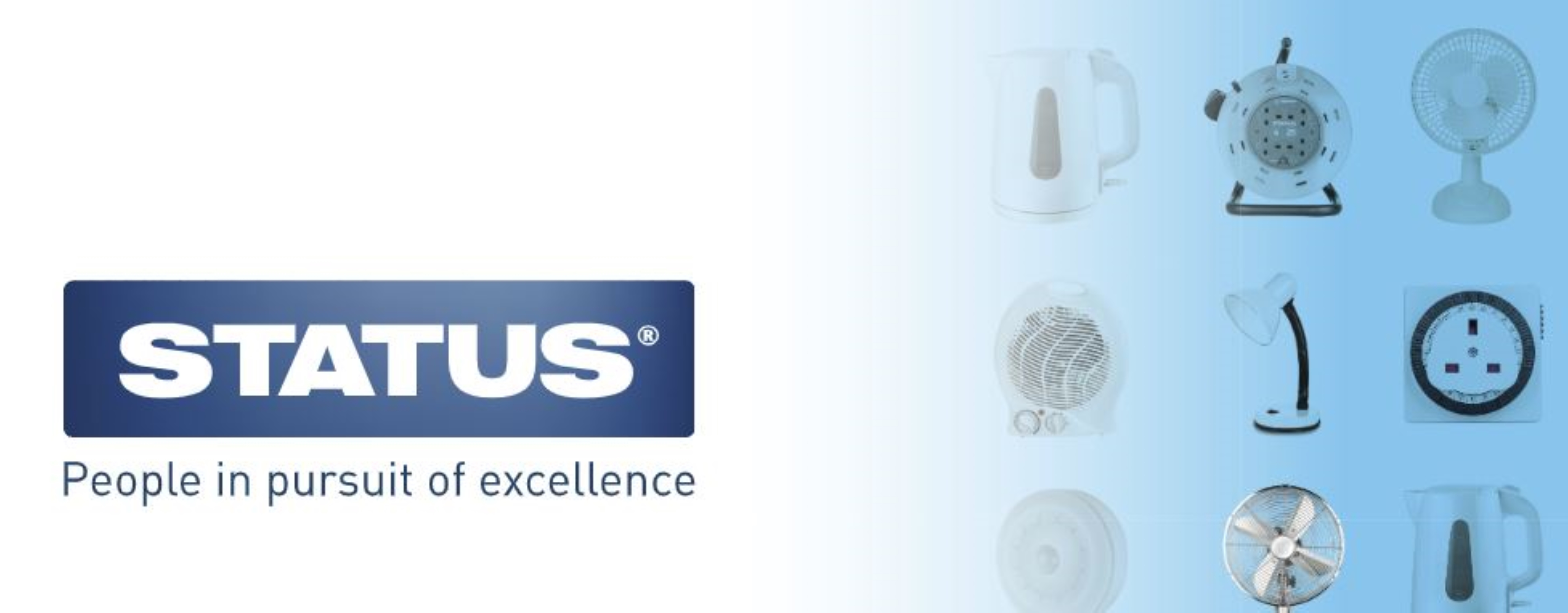 Amazon.co.uk: STATUS: Fan Heaters