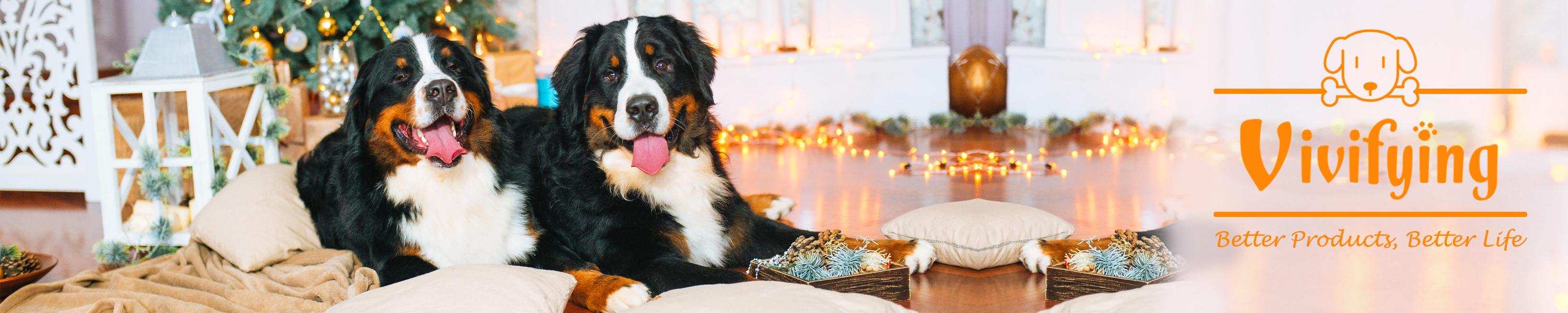 Amazon.de: Vivifying: Pet Lead