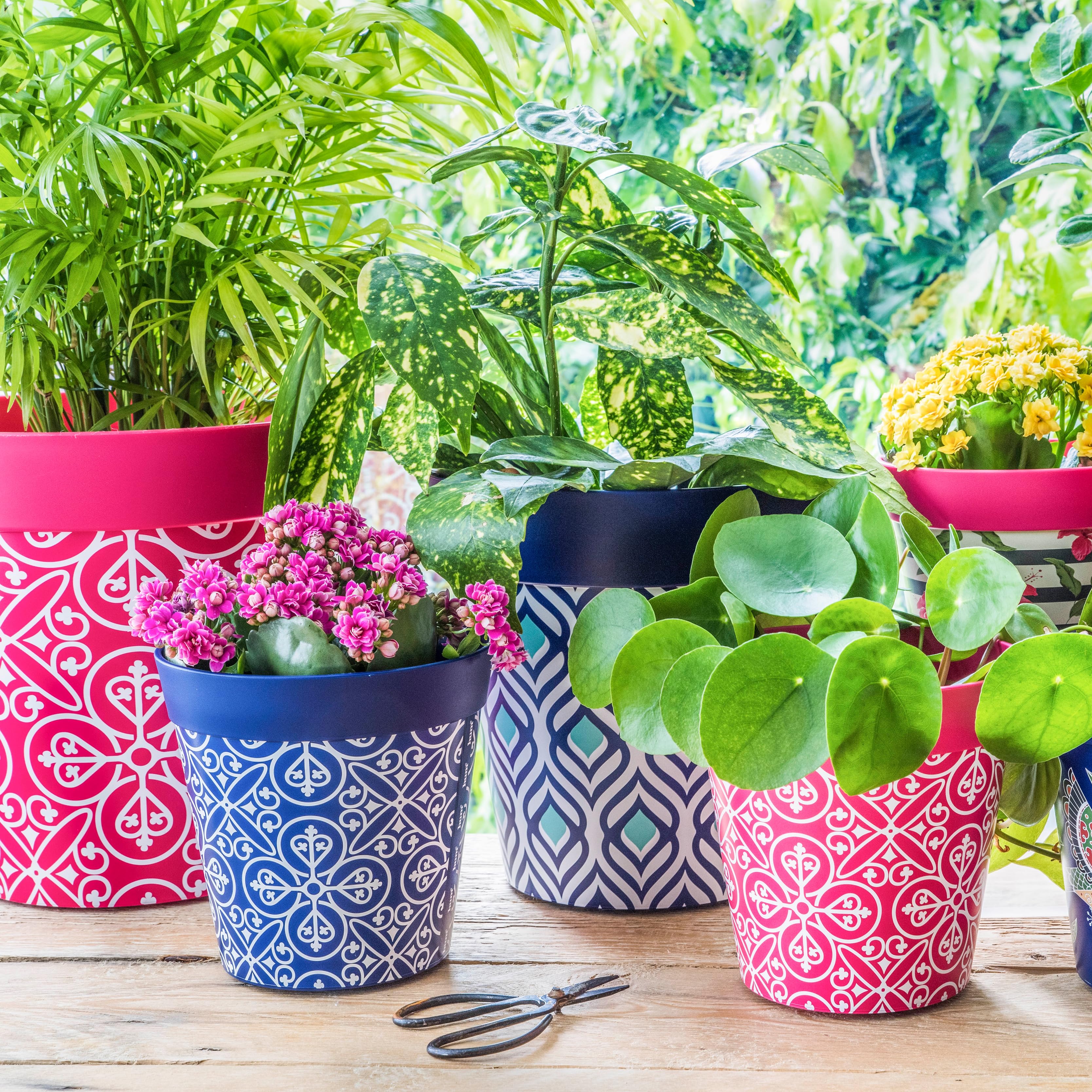 Amazon.co.uk: Hum Flowerpots