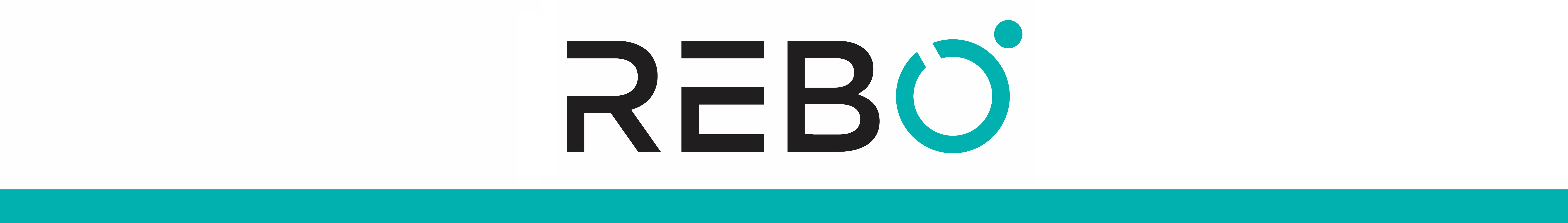 Amazon.co.uk: Rebo: Climbing Frames