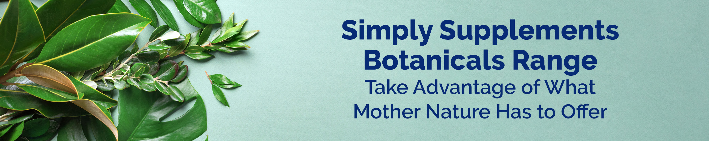 Amazon.co.uk: Simply Supplements: Botanicals