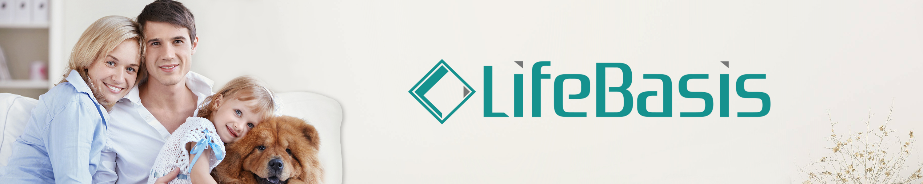 Amazon.co.uk: LifeBasis