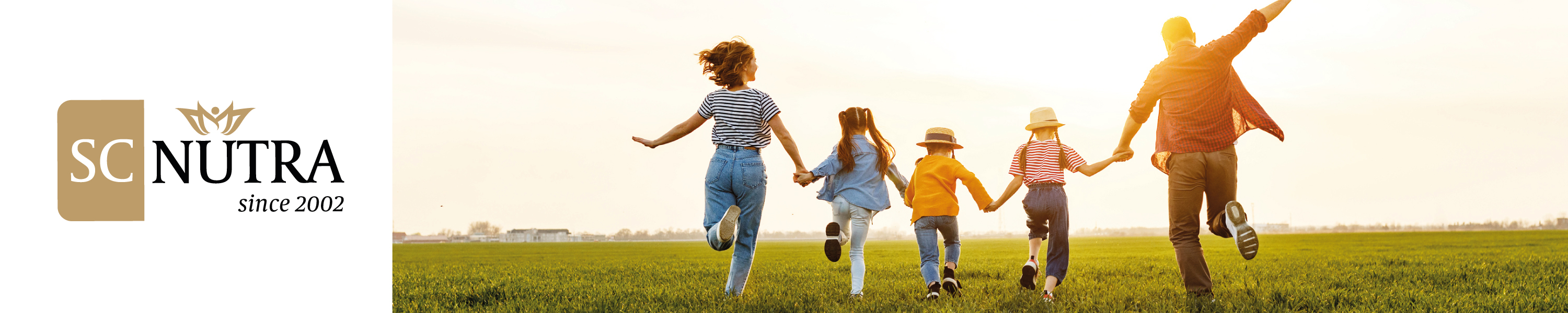 Amazon.co.uk: SC Nutra: Oregano Oil