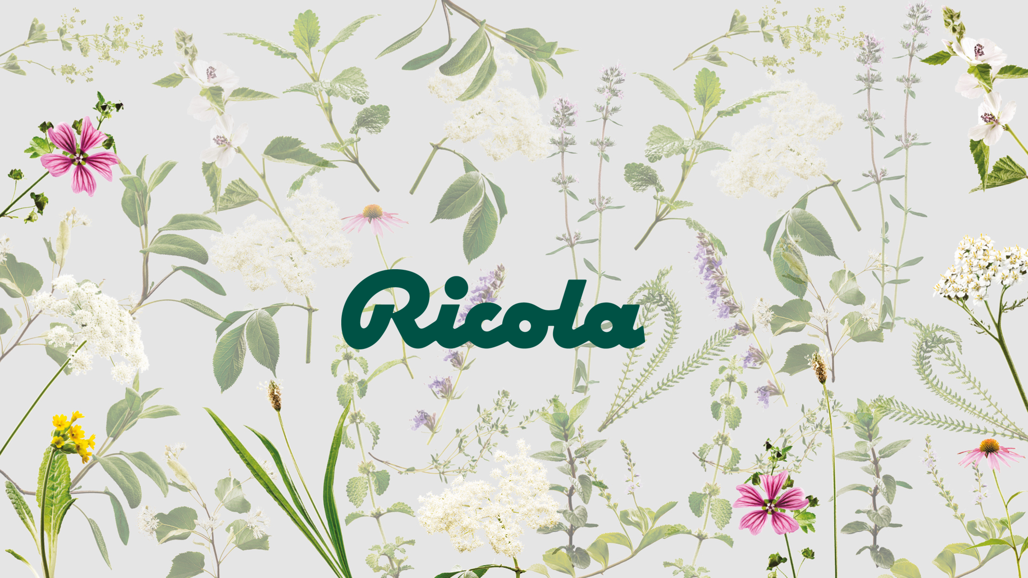 Amazon.co.uk: Ricola