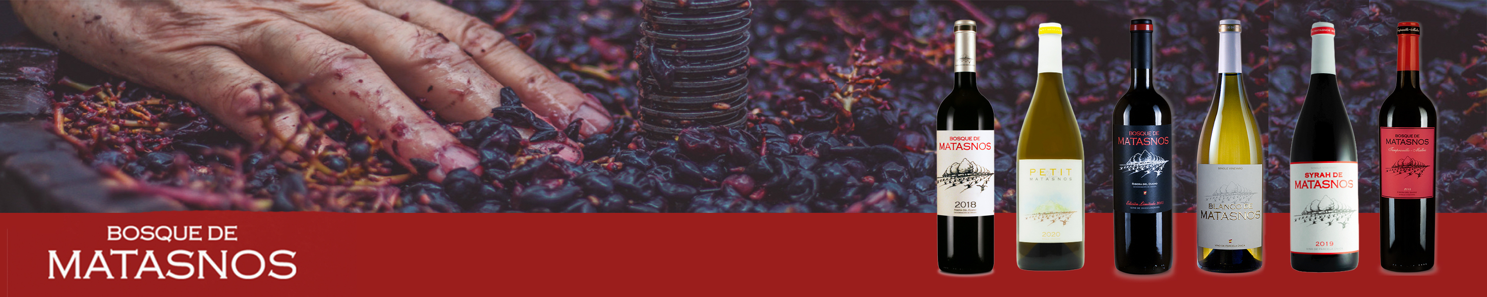 Amazon.es: Bosque de Matasnos: BMA Edición Limitada