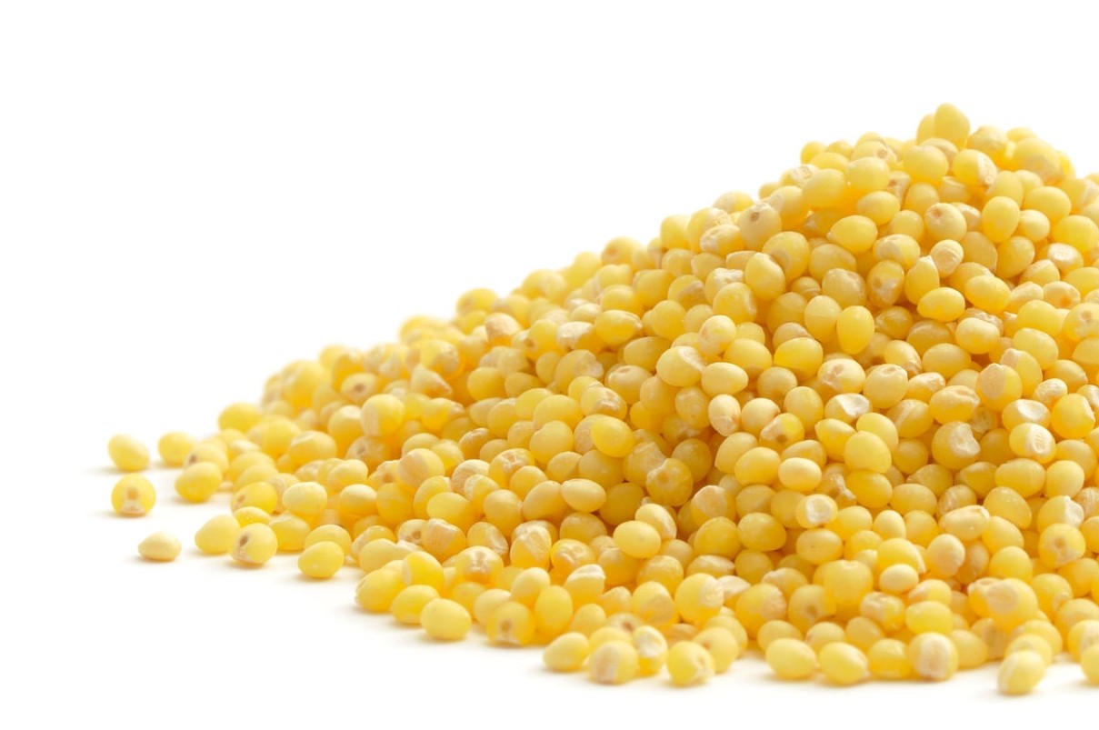 Amazon.in: 1000 Tonnes Millet Factory: 5 KGS PACK