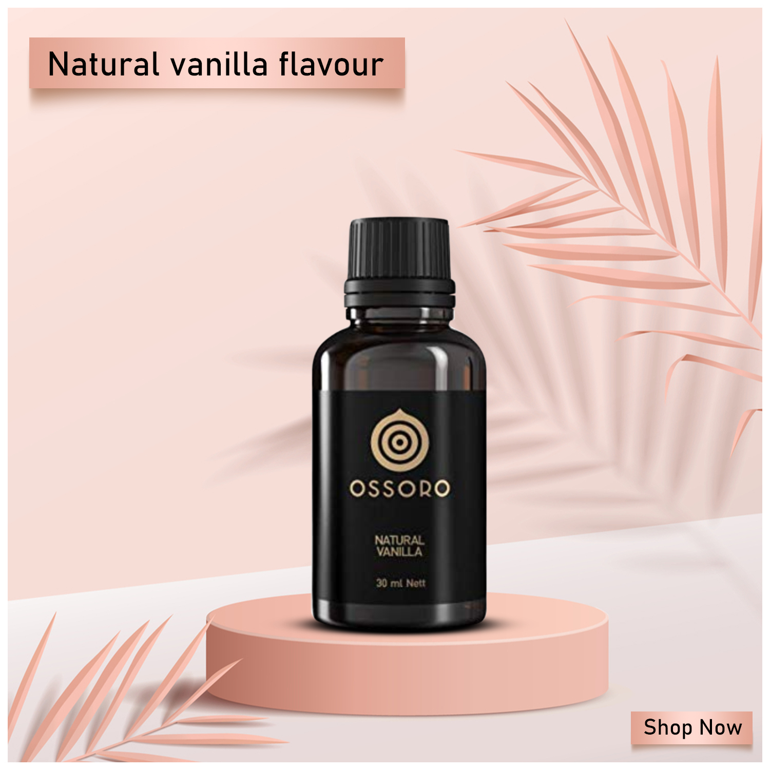 Amazon.in: Ossoro: Dairy & Ice Cream