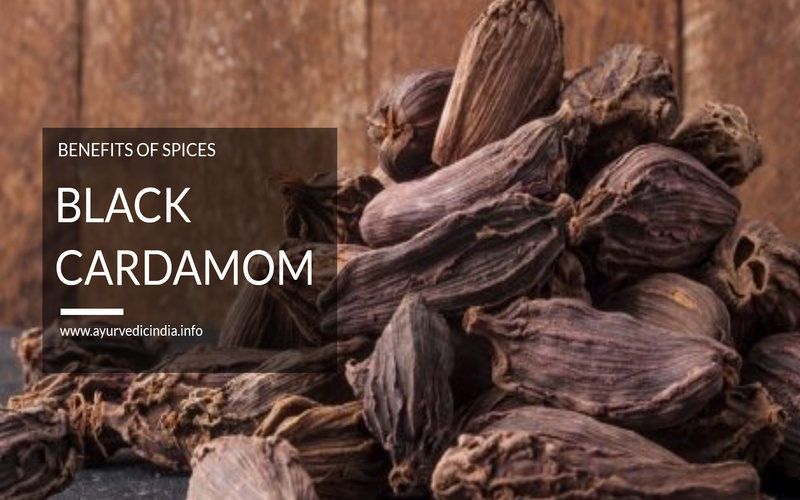 Amazon.in: NATURE YARD: Black Cardamom