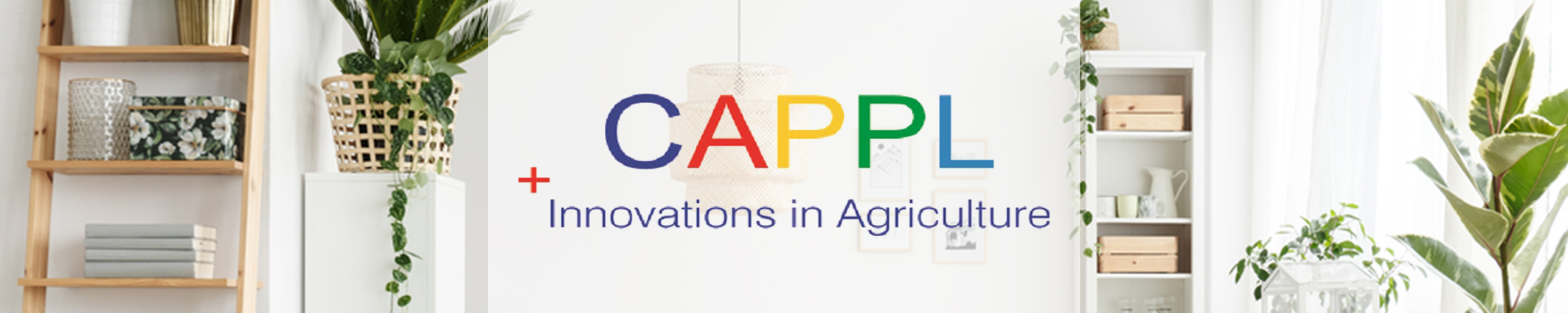 Amazon.in: CAPPL: Plants