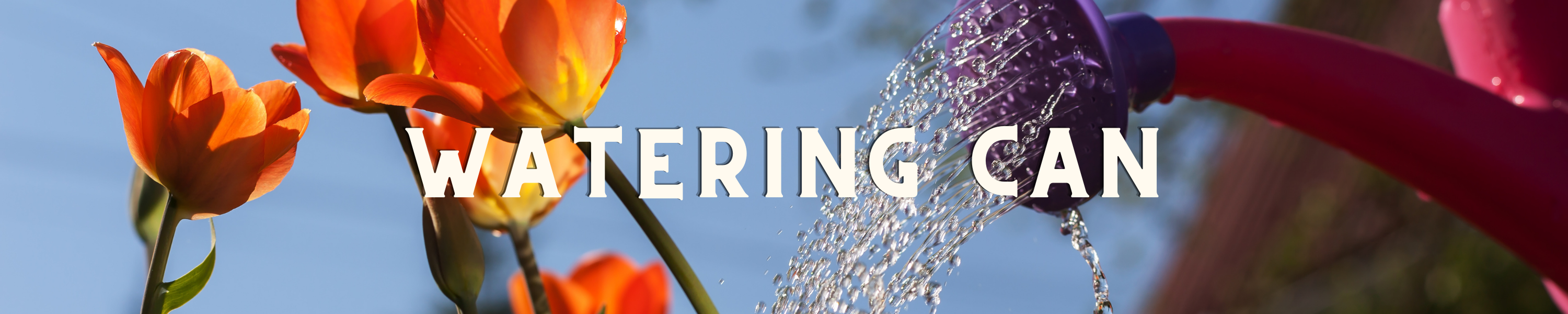 Amazon.in: Mahogany Life: Watering Can