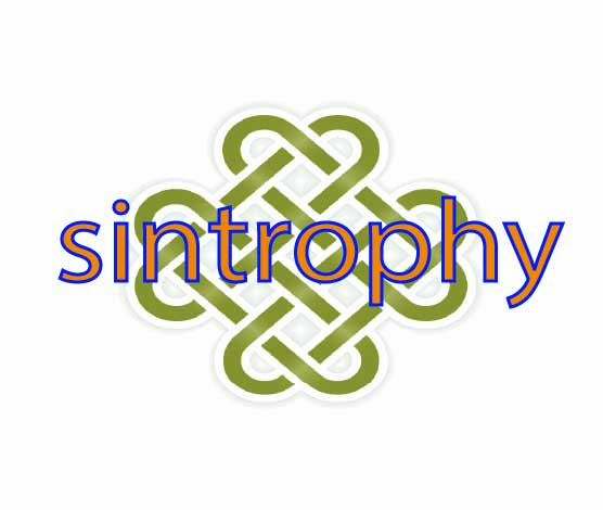 Amazon.it: SINTROPHY