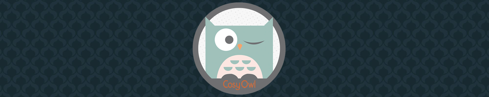 Amazon.co.uk: Cosy Owl: Tools & Equipment