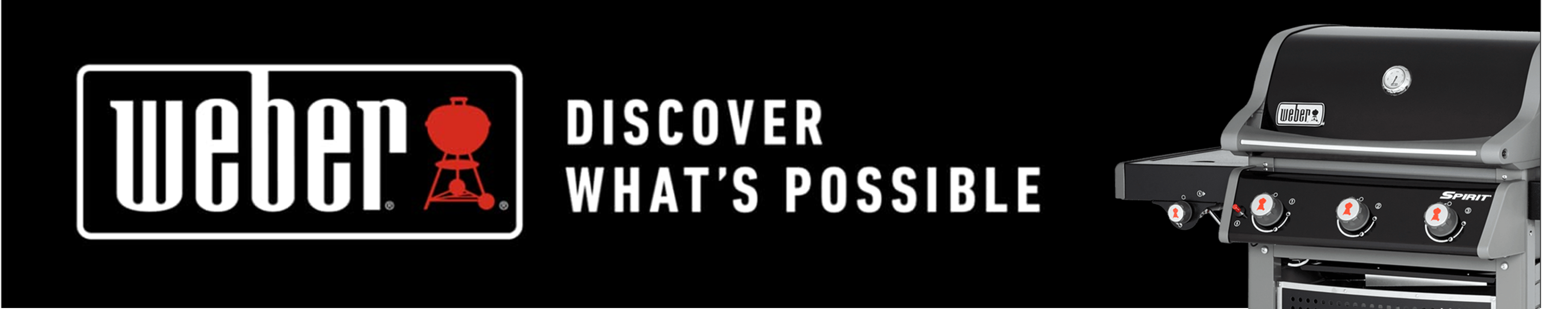 Amazon.co.uk: Weber: Cleaning