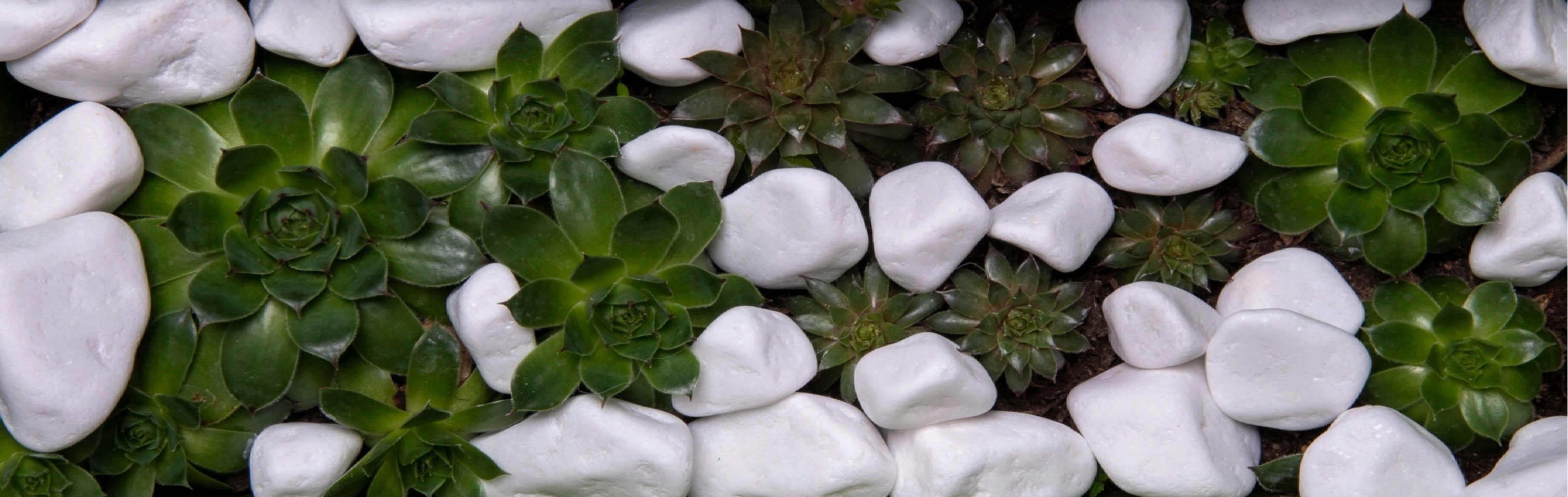 Amazon.co.uk: B2C: Garden stones