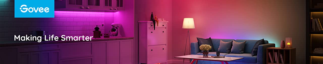 Amazon.co.uk: Govee: Govee & Razer
