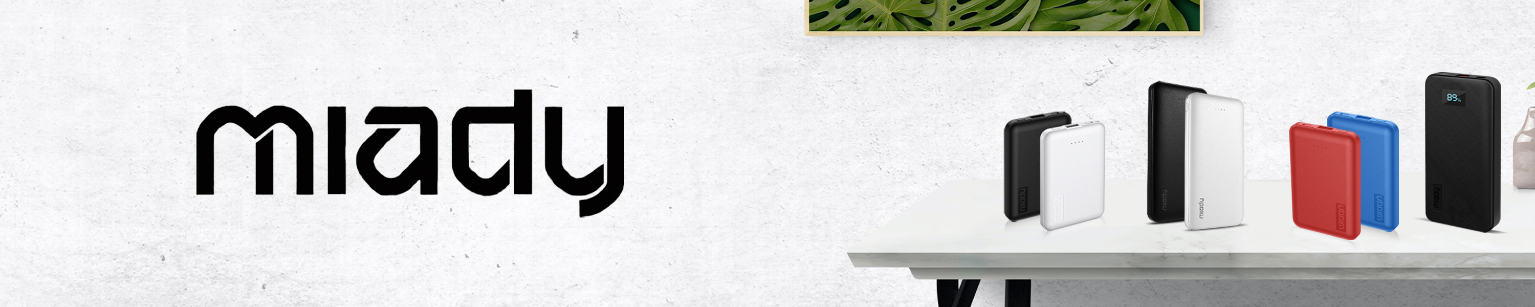 Amazon.co.uk: Miady: LiFePo4 battery