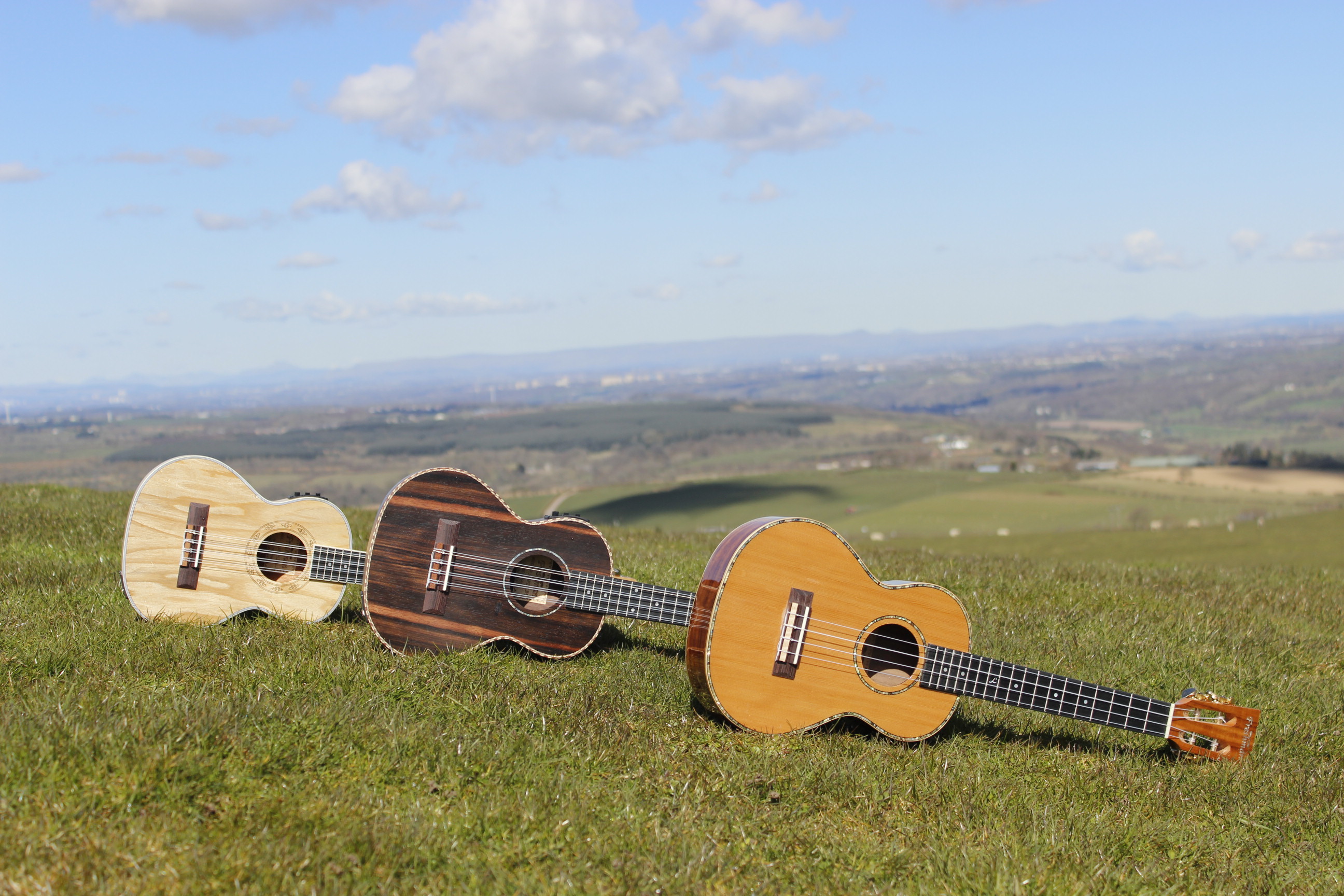 Amazon.co.uk: Freshman: Ukulele & Folk