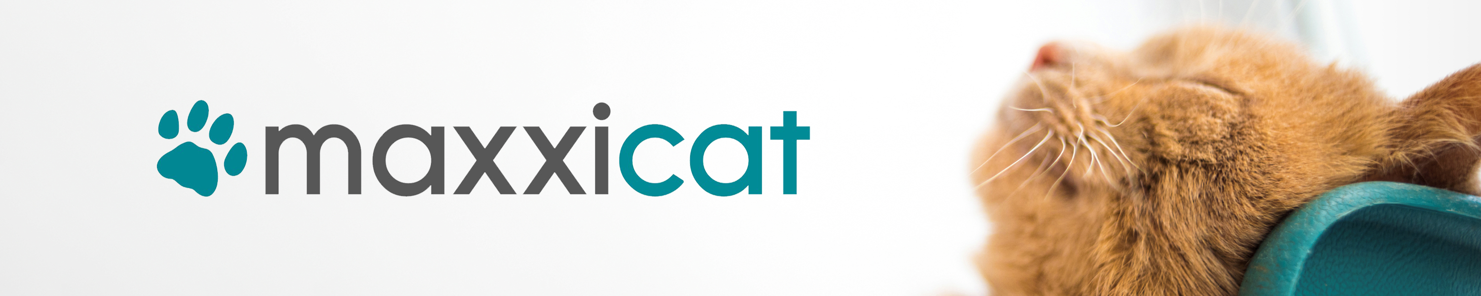 Amazon.co.uk: maxxipaws: maxxiUtract