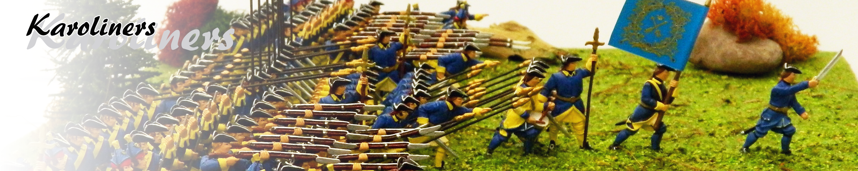 Amazon.de: Prince August: Karoliner 40 mm
