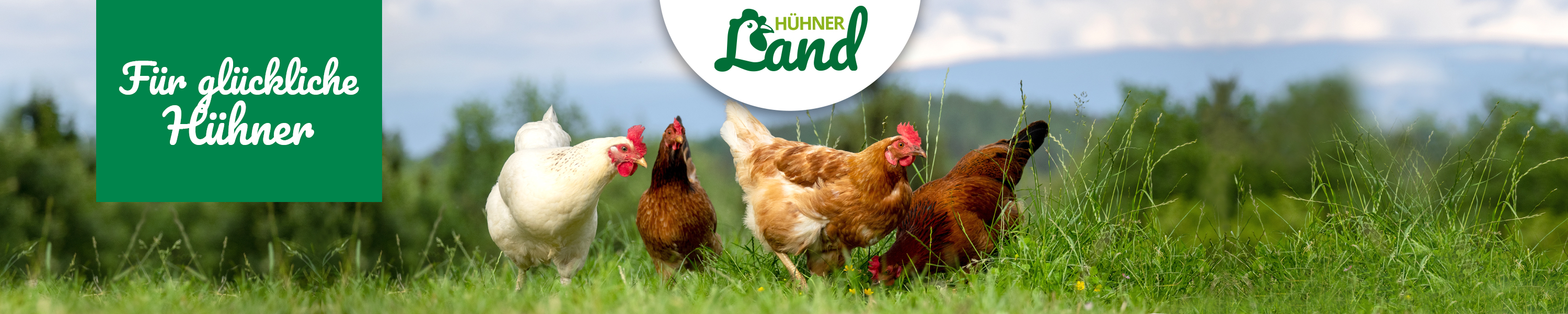 Amazon.de: HÜHNER Land: Parasiten & Hygiene