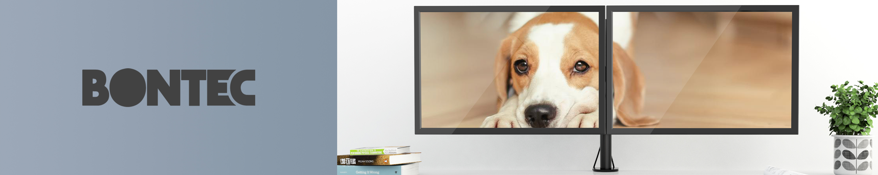 Amazon.es: BONTEC: Brazos de Monitors