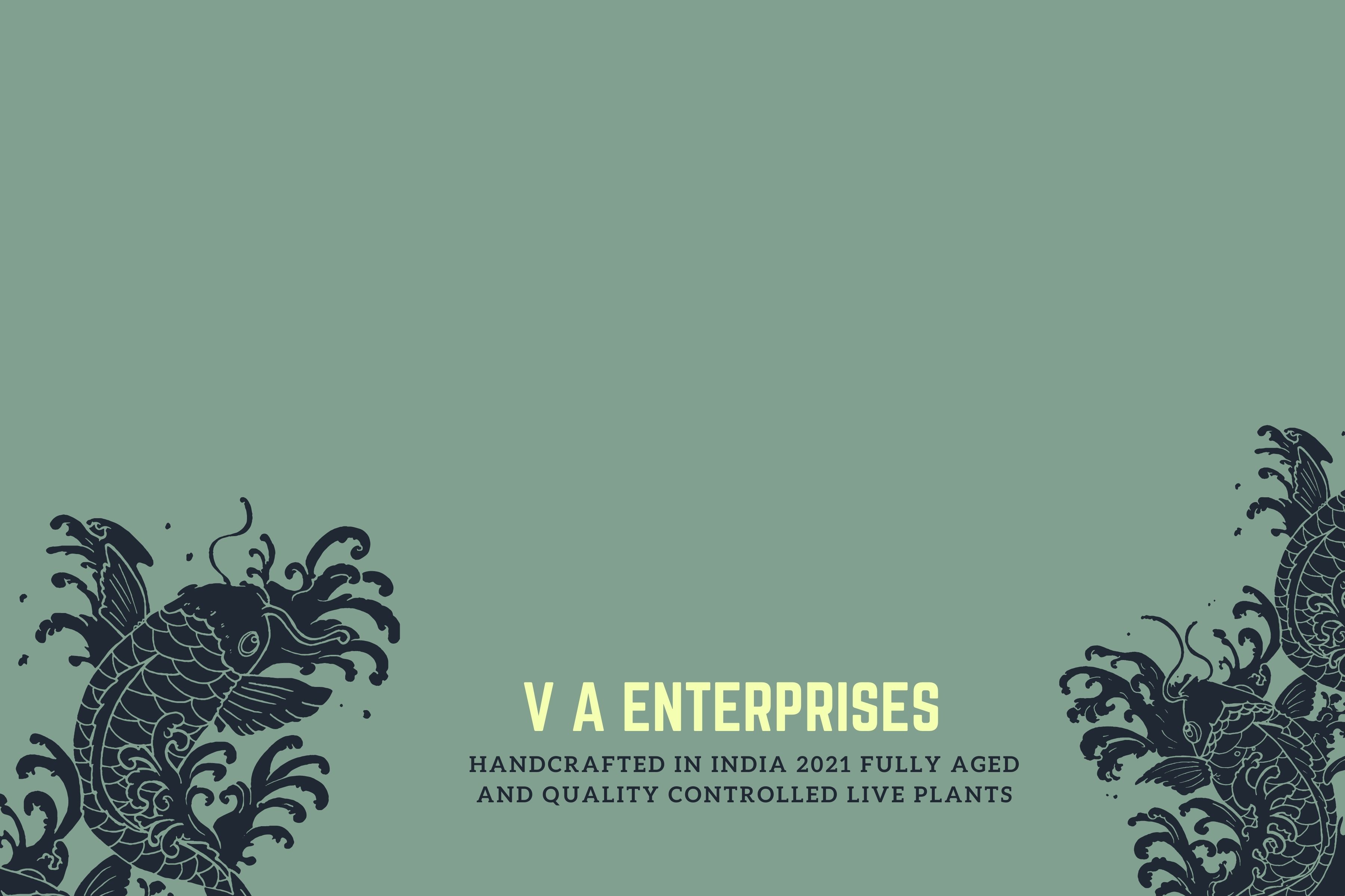 Amazon.in: V A enterprises