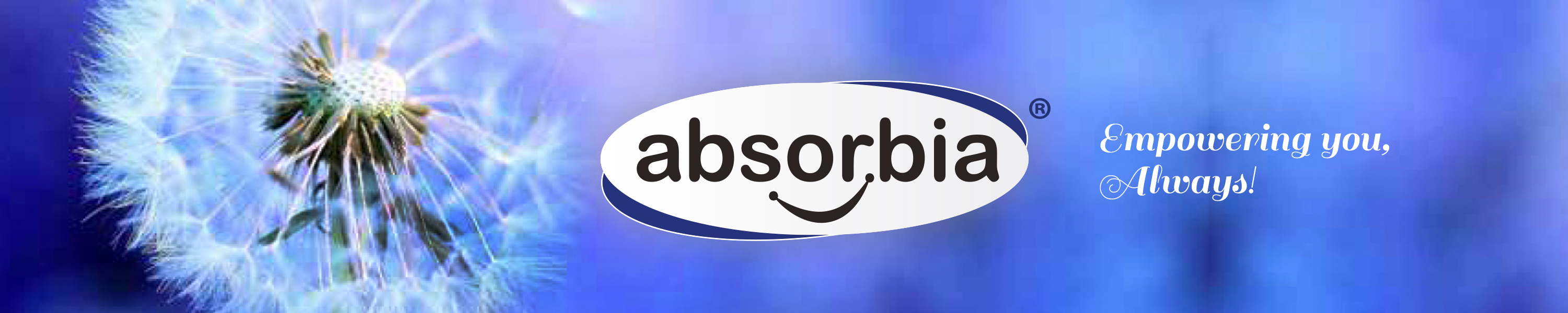 Amazon.in: absorbia