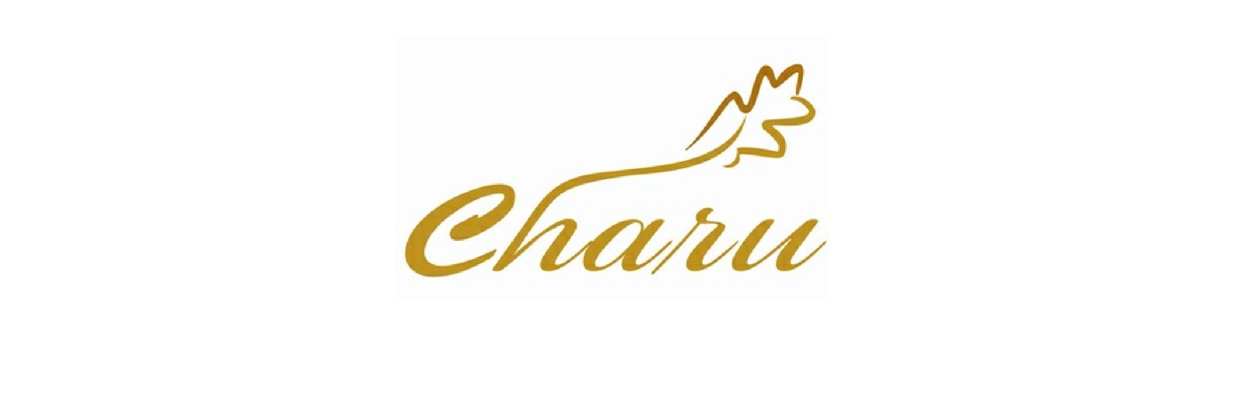 Amazon.in: CHARU
