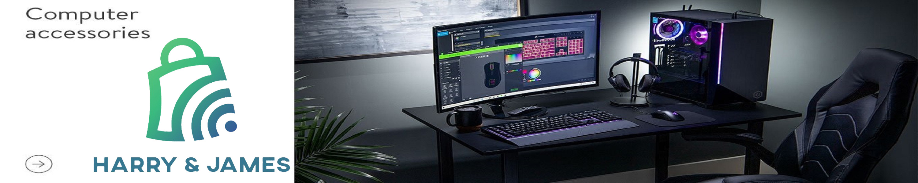 Amazon.in: Harry & James: Computers Accessories