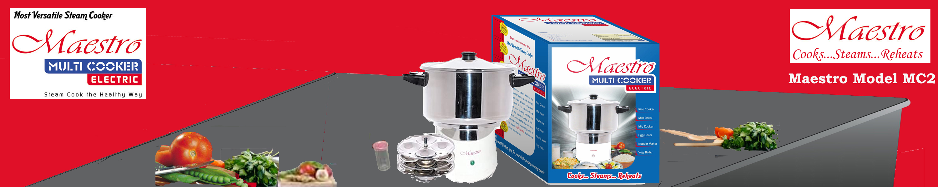 Amazon.in: Maestro: Model MC2-600W 230V