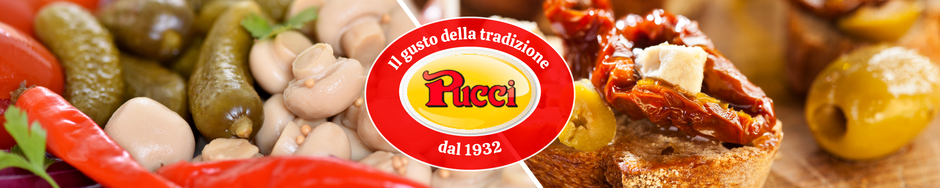 Amazon.it: Pucci Group: Pucci