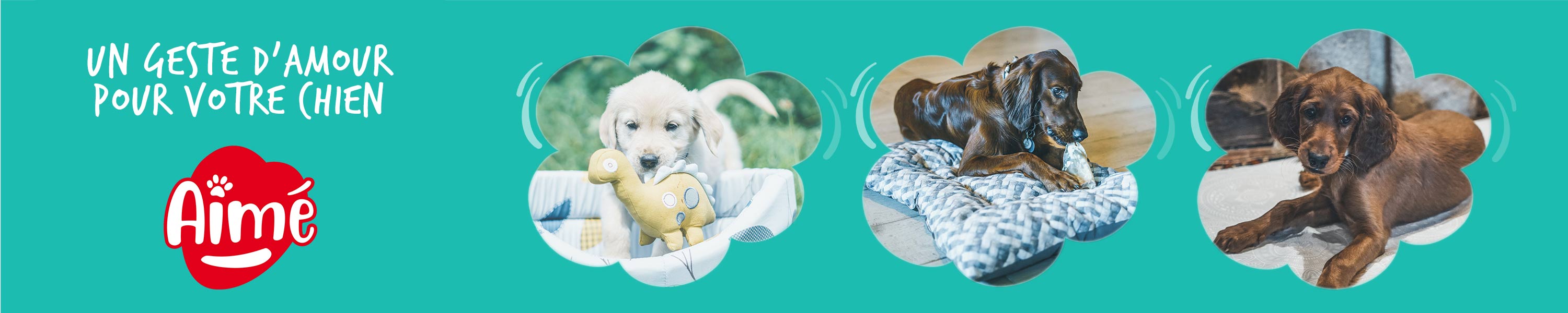 Amazon.fr: AIME: Jouets