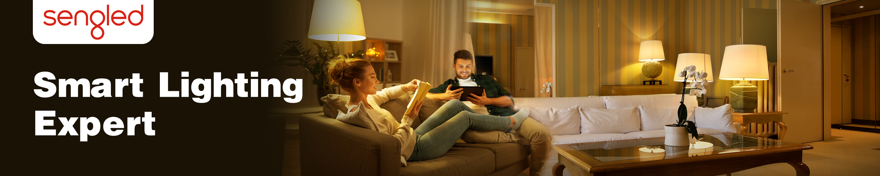 Amazon.fr: Sengled: Meilleures Ventes