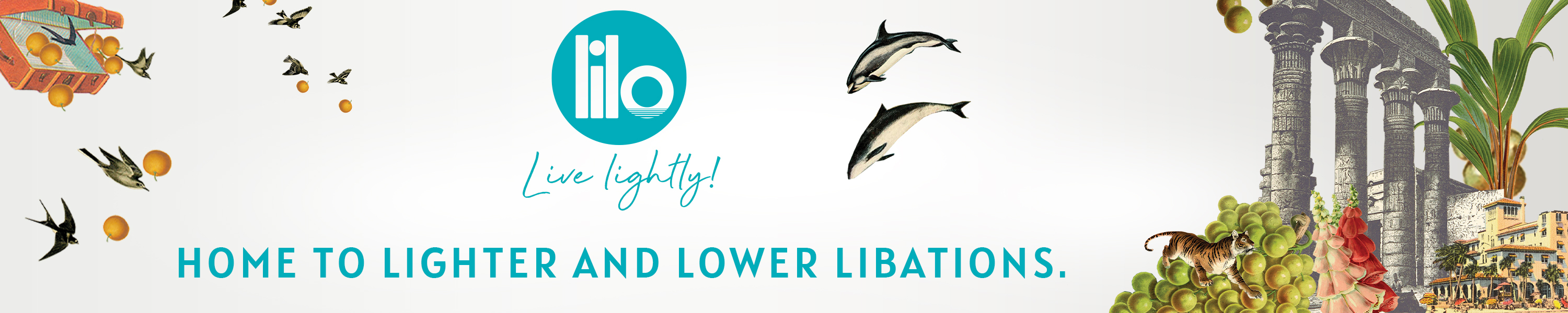 Amazon.co.uk: Lilo Drinks