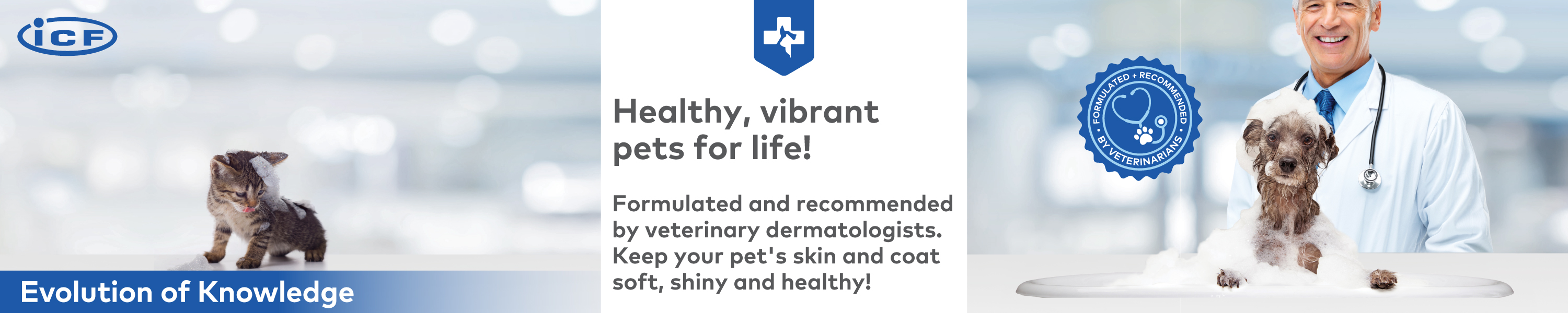 Amazon.co.uk: ICF - Evolution of Knowledge: Skin & Coat