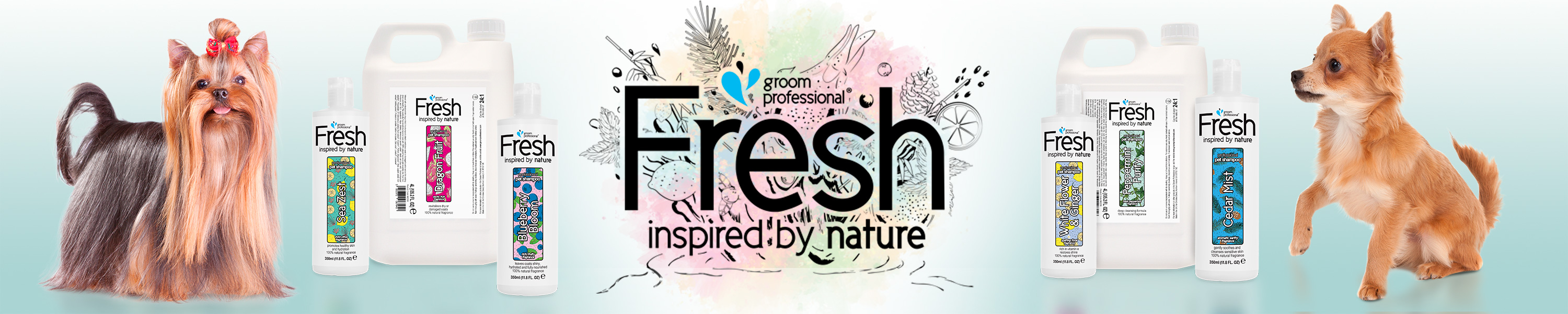Amazon.co.uk: Groom Professional: Fresh