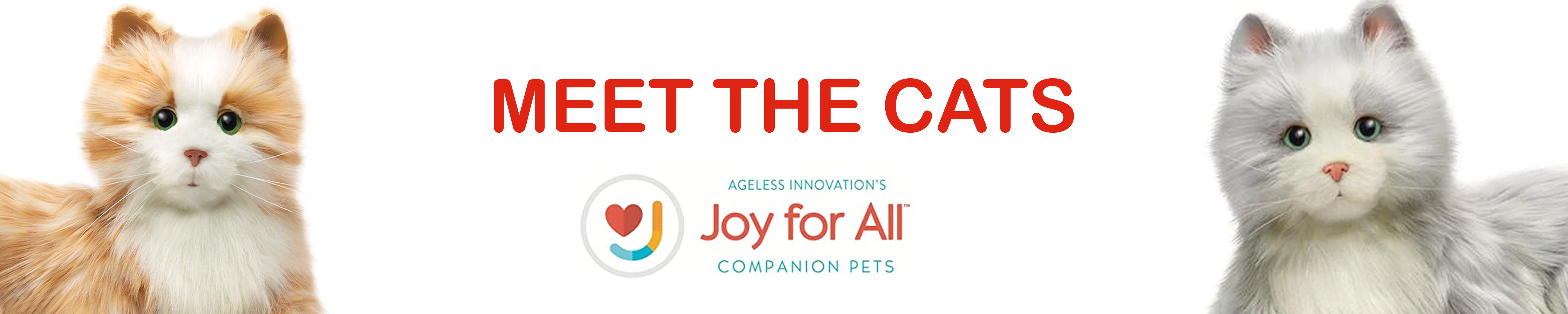 Amazon.co.uk: Ageless Innovation: CAT / KITTEN