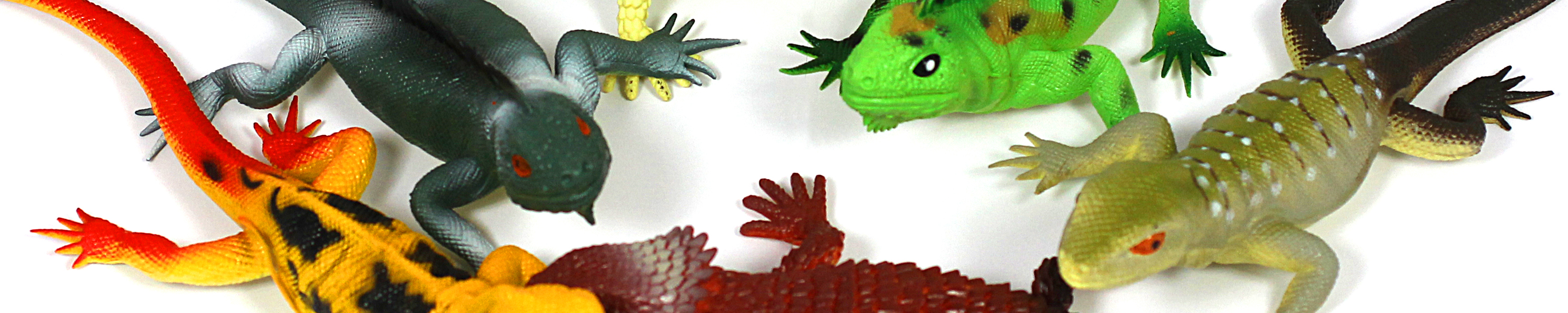 Amazon.co.uk: Talking Turtle: Insects & Reptiles