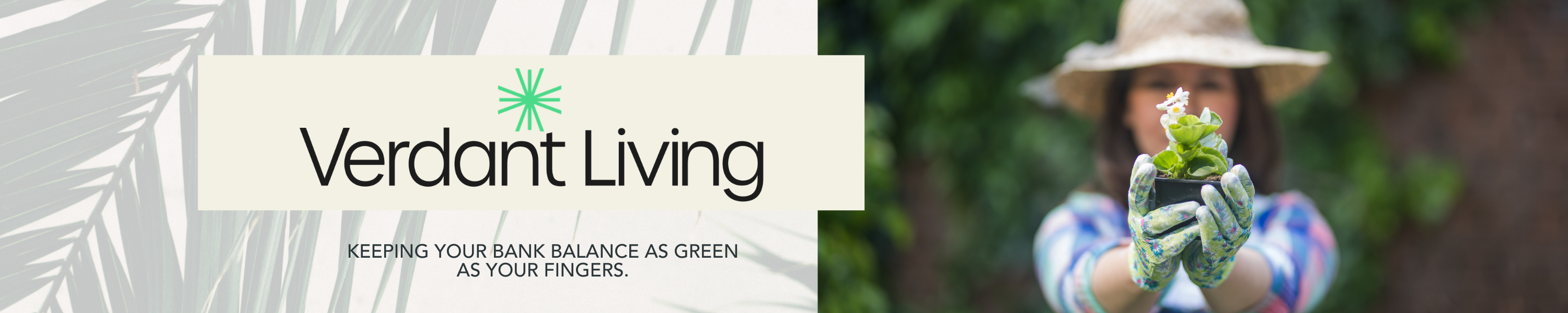 Amazon.co.uk: Verdant Living: Spring/Summer Plants