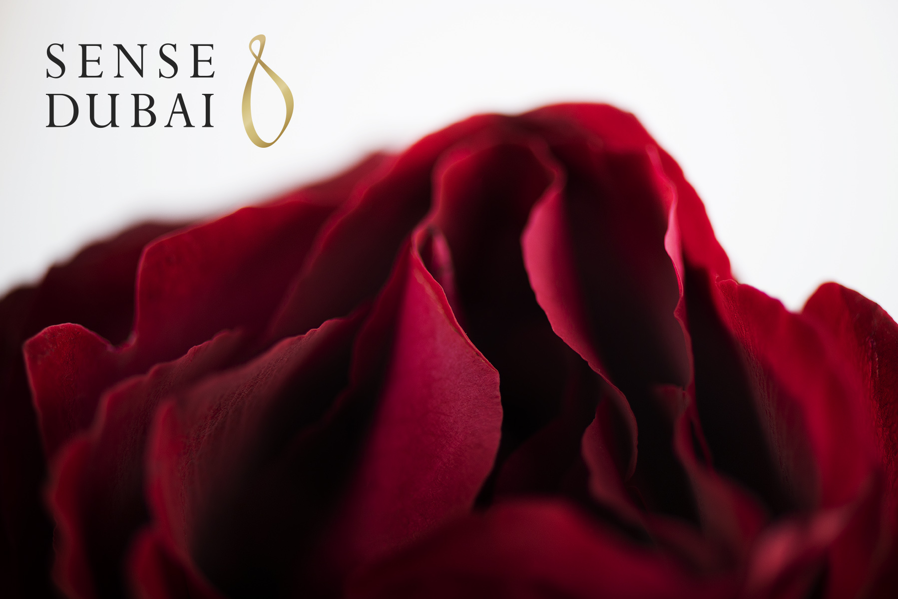 Amazon.de: Sense Dubai: Parfüm