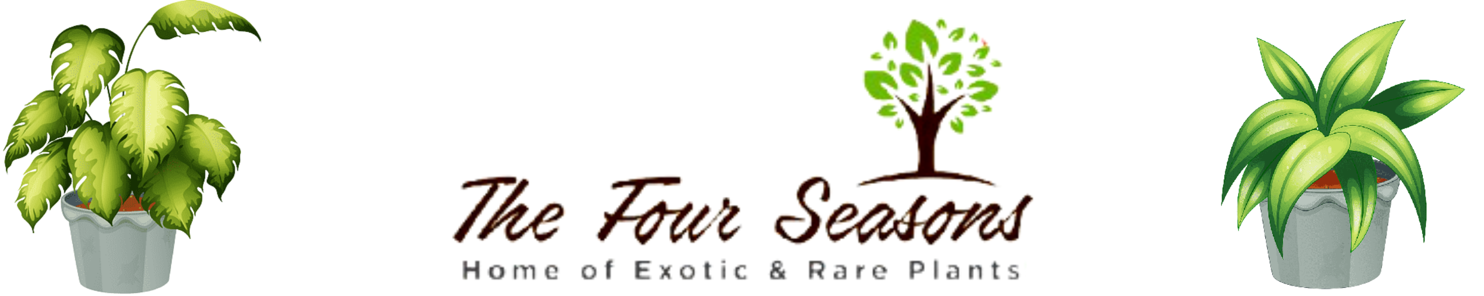 Amazon.in: The Four Seasons: The Rare Ones