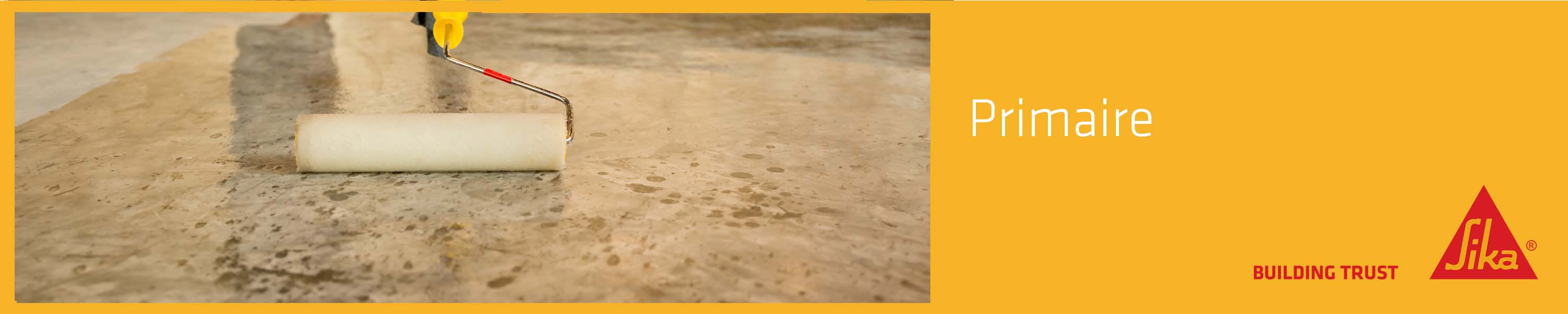 Amazon.fr: SIKA FRANCE S.A.S: Primaires