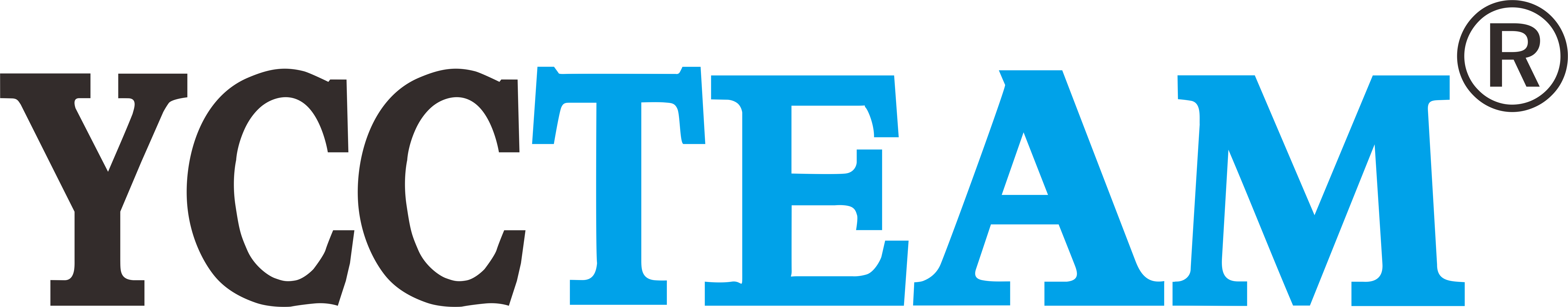 Amazon.fr: YCCTEAM: P-S4 MANETTE